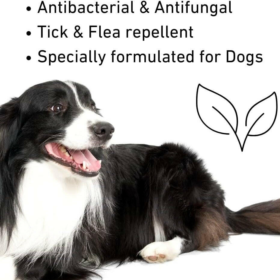 argent-colloidal-repulsif-naturel-contre-les-tiques-et-les-puces-pour ...